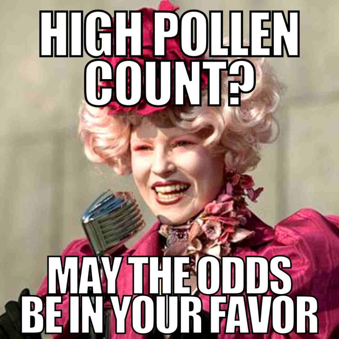 20 Best Pollen Memes To Help You Laugh Through The Sneezes