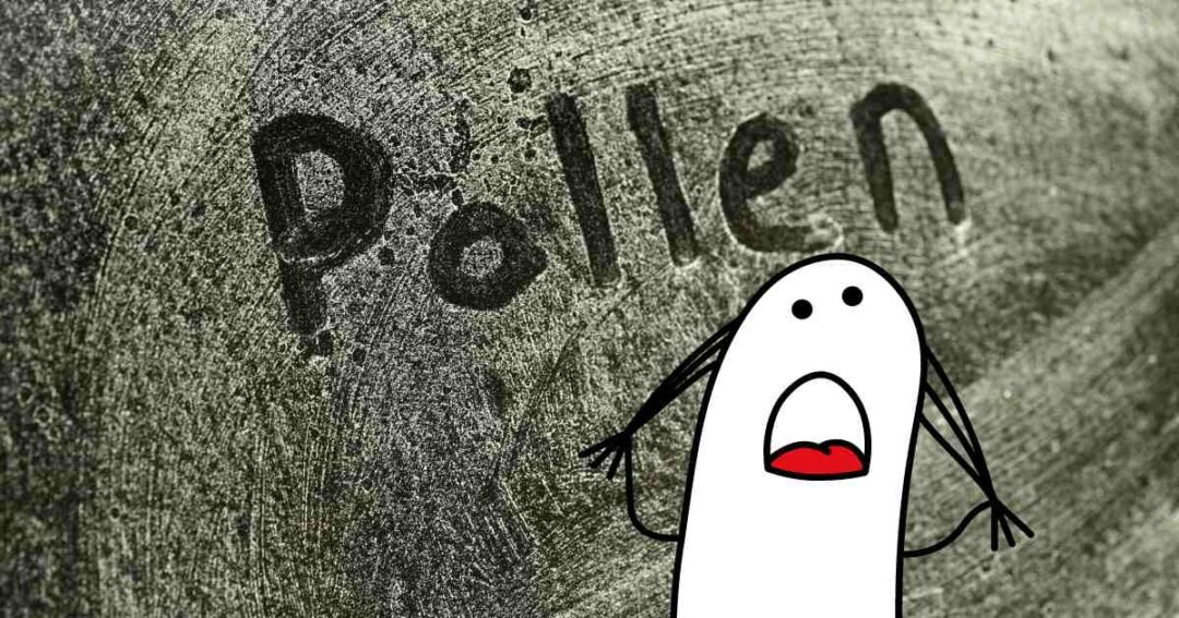 20 Funny Pollen Memes To Laugh At And Share
