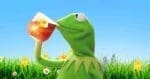 50 Hilarious Spring Memes To Have You Laughing All Season Long