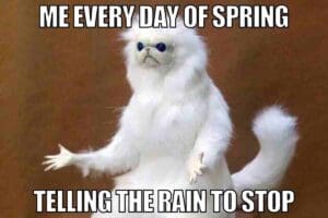 Funny Spring Memes About Pollen, Allergies, And Sneezing 100 Times