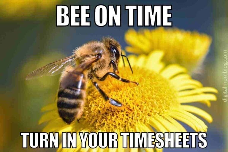250 Best Funny Work Memes To Share With Coworkers In 2024