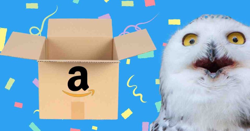 30 Funny Amazon Memes And Images Prime Members Can Relate To