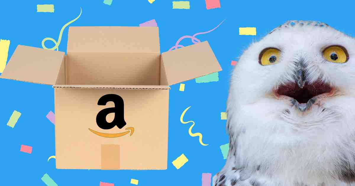 30 Funny Amazon Memes And Images Prime Members Can Relate To