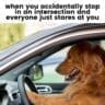 35 Funny Road Trip Memes To Fuel Your Drive With Laughter
