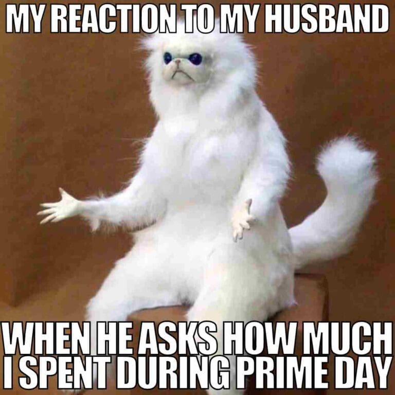 Funny Prime Day Memes 2024 For Amazon Sales Addicts