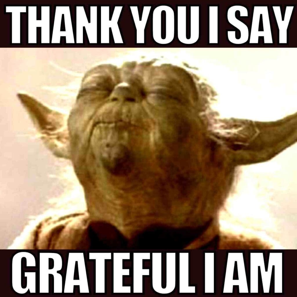 25 Thank You Memes That Speak Louder Than Sending A Card