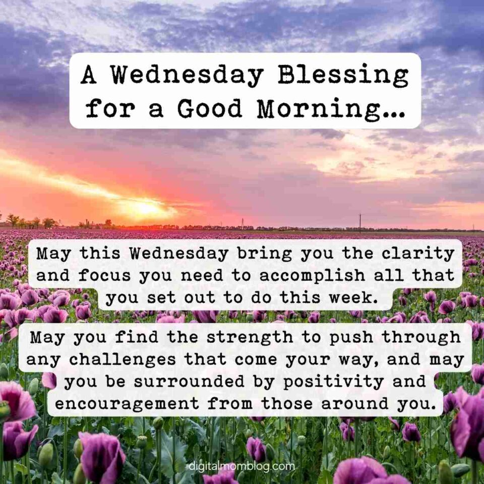 25 Good Morning Wednesday Images For A Wonderful Start
