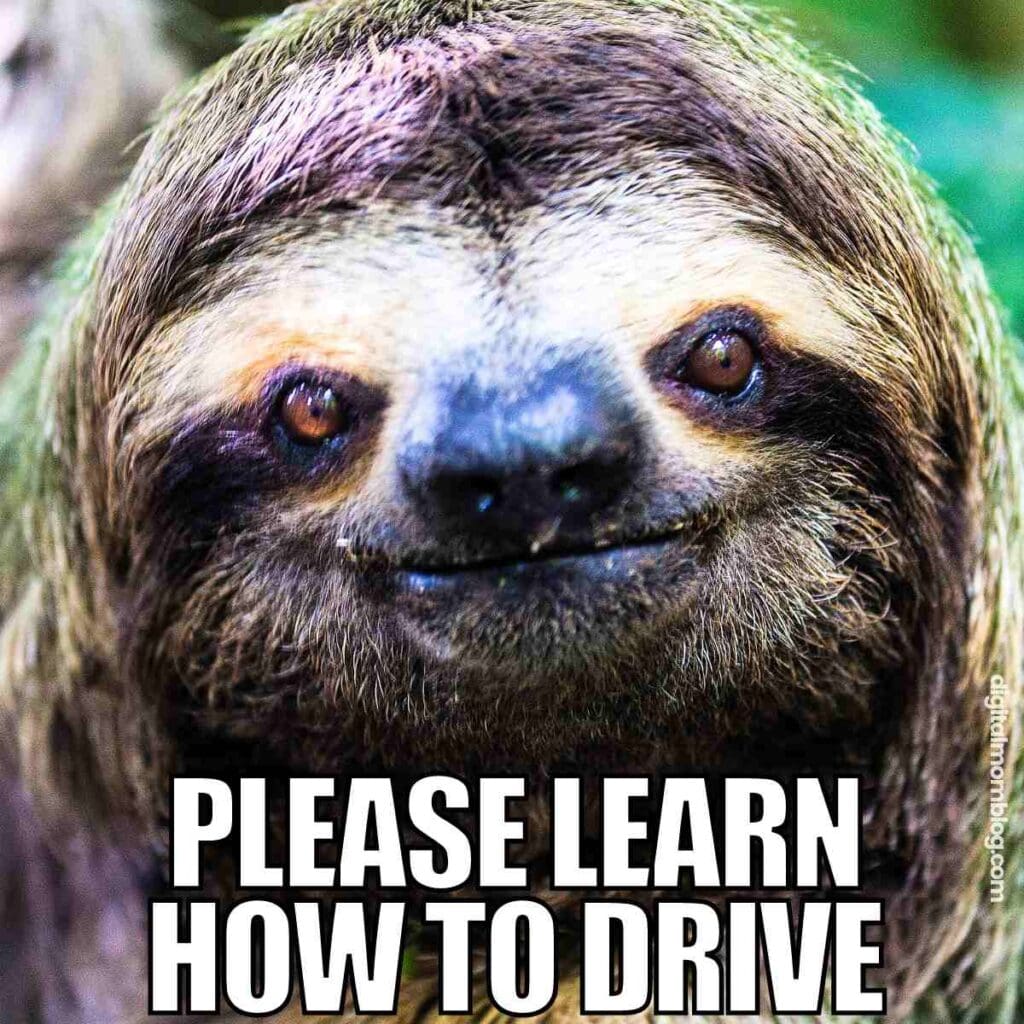 35 Funny Road Trip Memes To Fuel Your Drive With Laughter