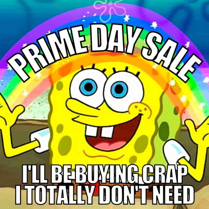 Funny Prime Day Memes 2023 For Amazon Sales Addicts