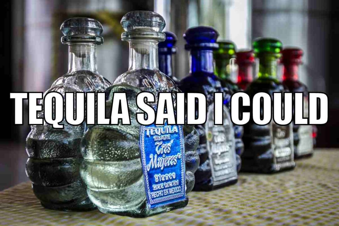 20 Fun Tequila Memes That Will Energize Your Spirits