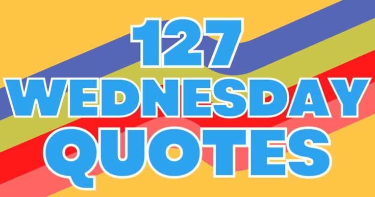 35 Awesome Wednesday Quotes To Help You Through Hump Day