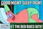 27 Best Goodnight Memes To Share Before Bedtime