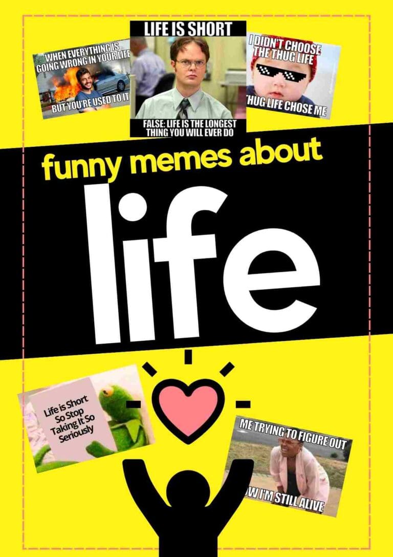 27 Funny Memes About Life That Will Make You LOL