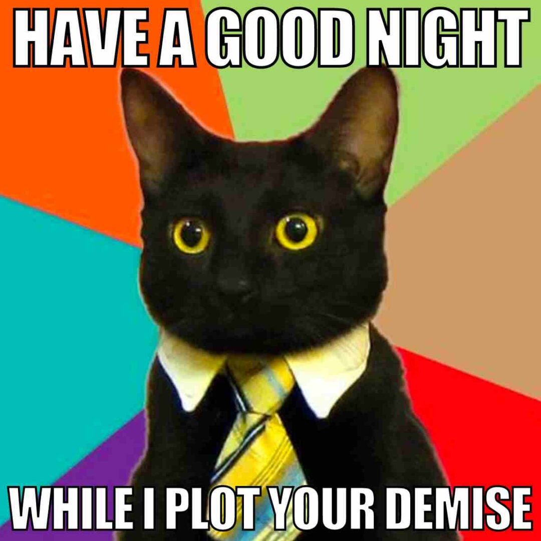 27 Best Goodnight Memes To Share Before Bedtime
