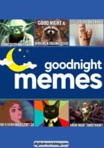 27 Best Goodnight Memes To Share Before Bedtime