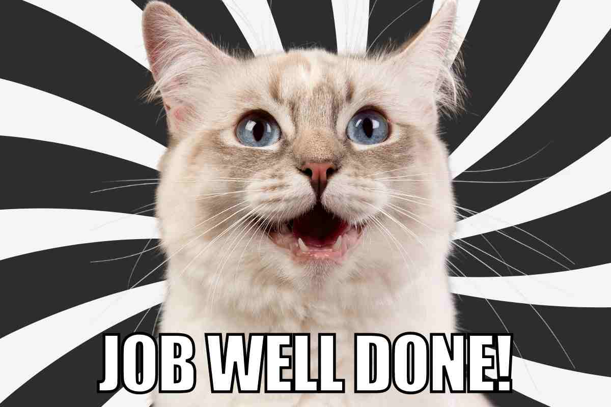 Best Job Memes That Perfectly Capture Your 9 to 5 Struggles