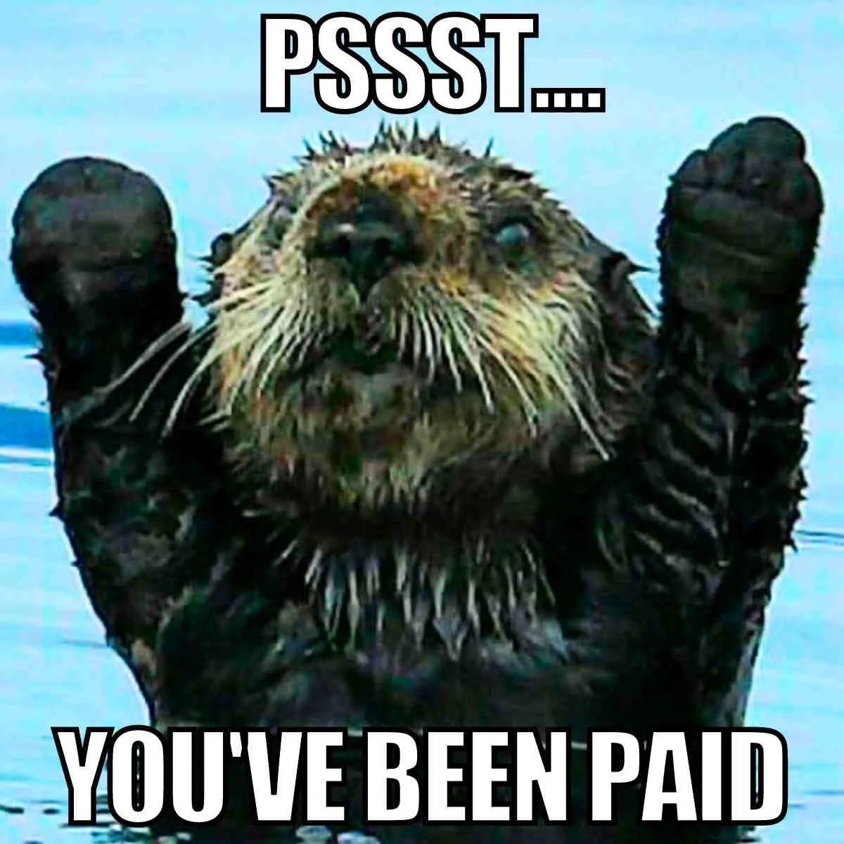 25 Hilarious Payroll Memes For Laughs Until Payday 25 Hilarious Payroll Memes For Laughs Until Payday