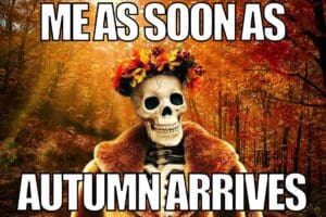 30 Hilarious Autumn Memes To Get You In The Fall Spirit