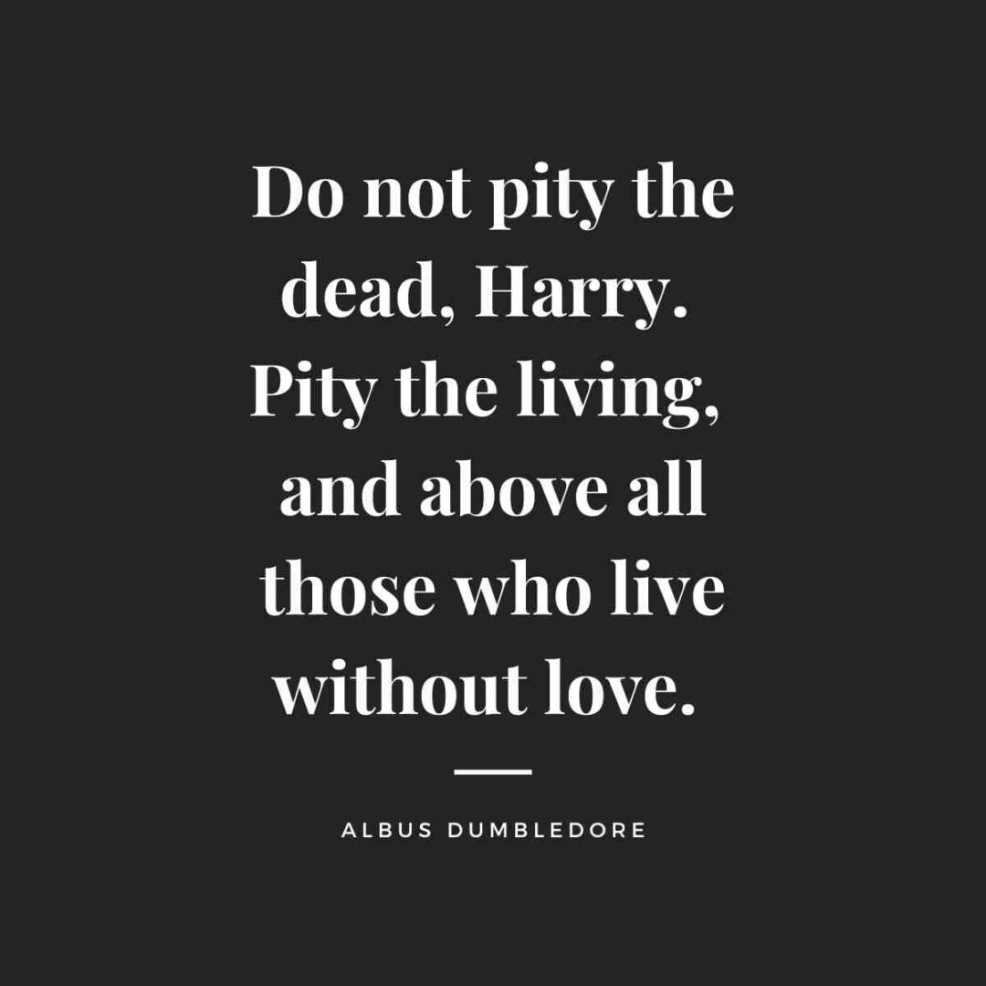 20 Magical Dumbledore Memes: Humorous Tribute to Michael Gambon