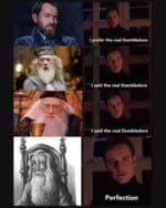 20 Magical Dumbledore Memes: Humorous Tribute To Michael Gambon