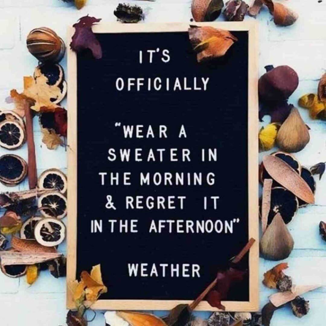 30 Hilarious Autumn Memes To Get You In The Fall Spirit