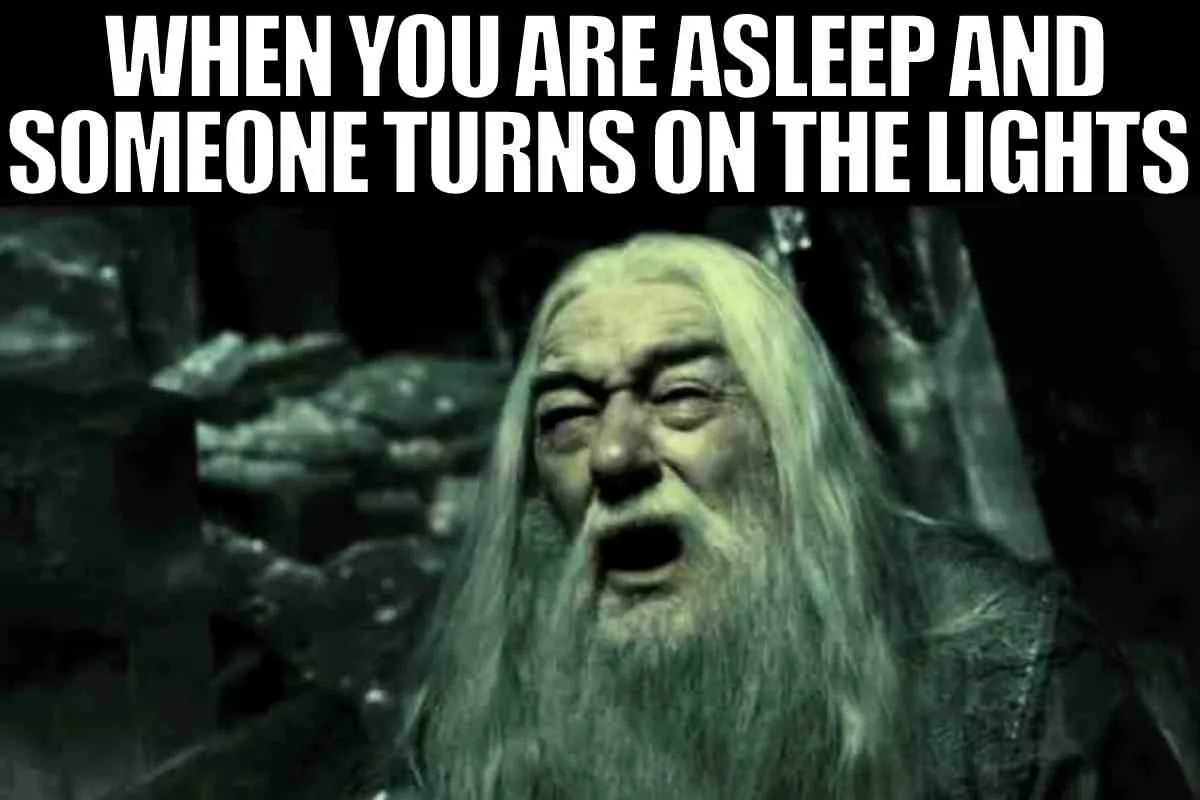 20 Magical Dumbledore Memes: Humorous Tribute To Michael Gambon