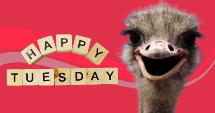 17 Happy Tuesday Memes And Images For A Great Day