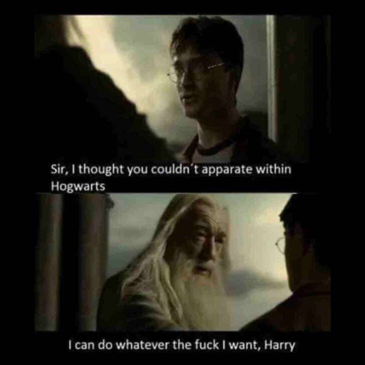 20 Magical Dumbledore Memes: Humorous Tribute To Michael Gambon