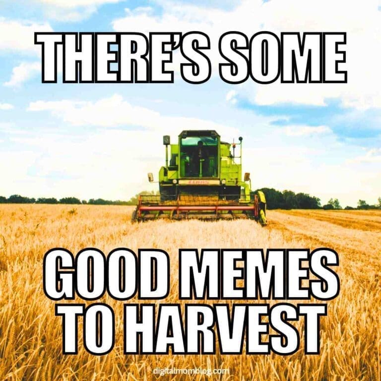 Best Autumn Memes 2023: Fall Into LOLs For The New Season