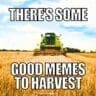 Best Autumn Memes 2023: Fall Into LOLs For The New Season