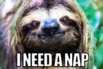 40 Best Nap Memes About Those Mid Day Sleeps