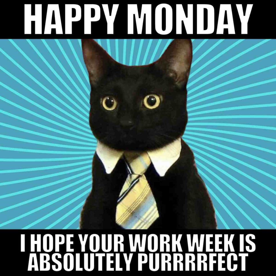 20 Relatable Monday Work Memes To Kickstart Your Week