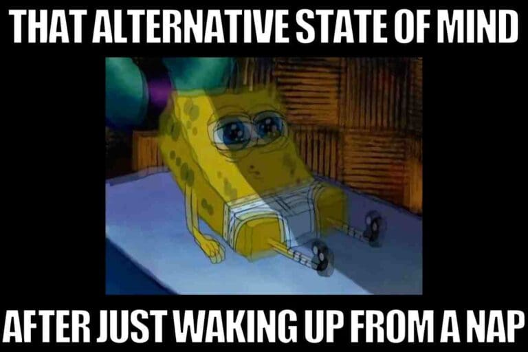 40 Best Nap Memes About Those Mid Day Sleeps
