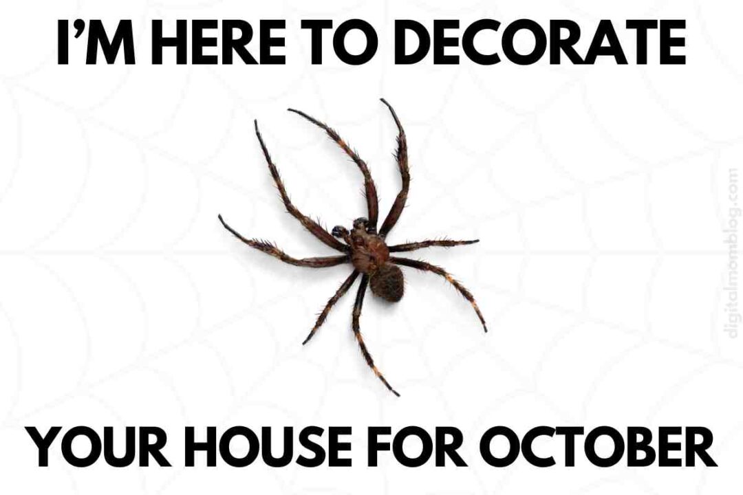 October Memes: From Cozy Fall To Funny Halloween LOLs