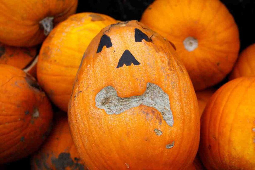 10 Awesome Halloween Pumpkin Faces To Carve
