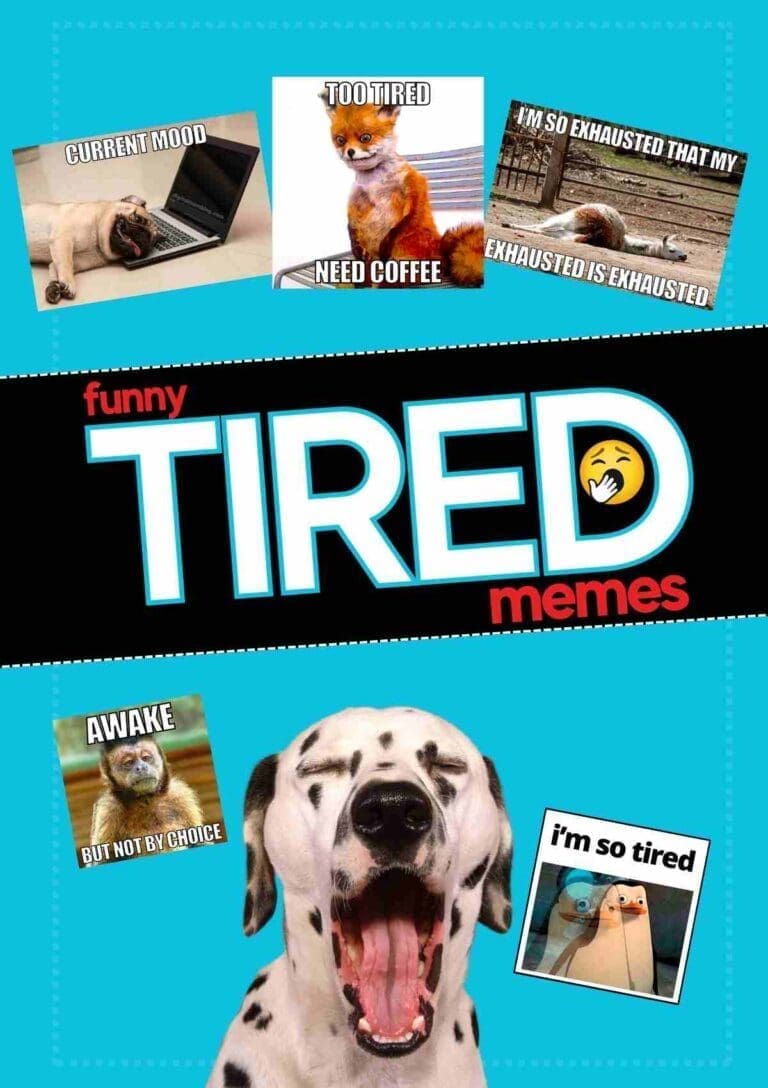 37 Funny Tired Memes For The Exhausted And Sleep Deprived