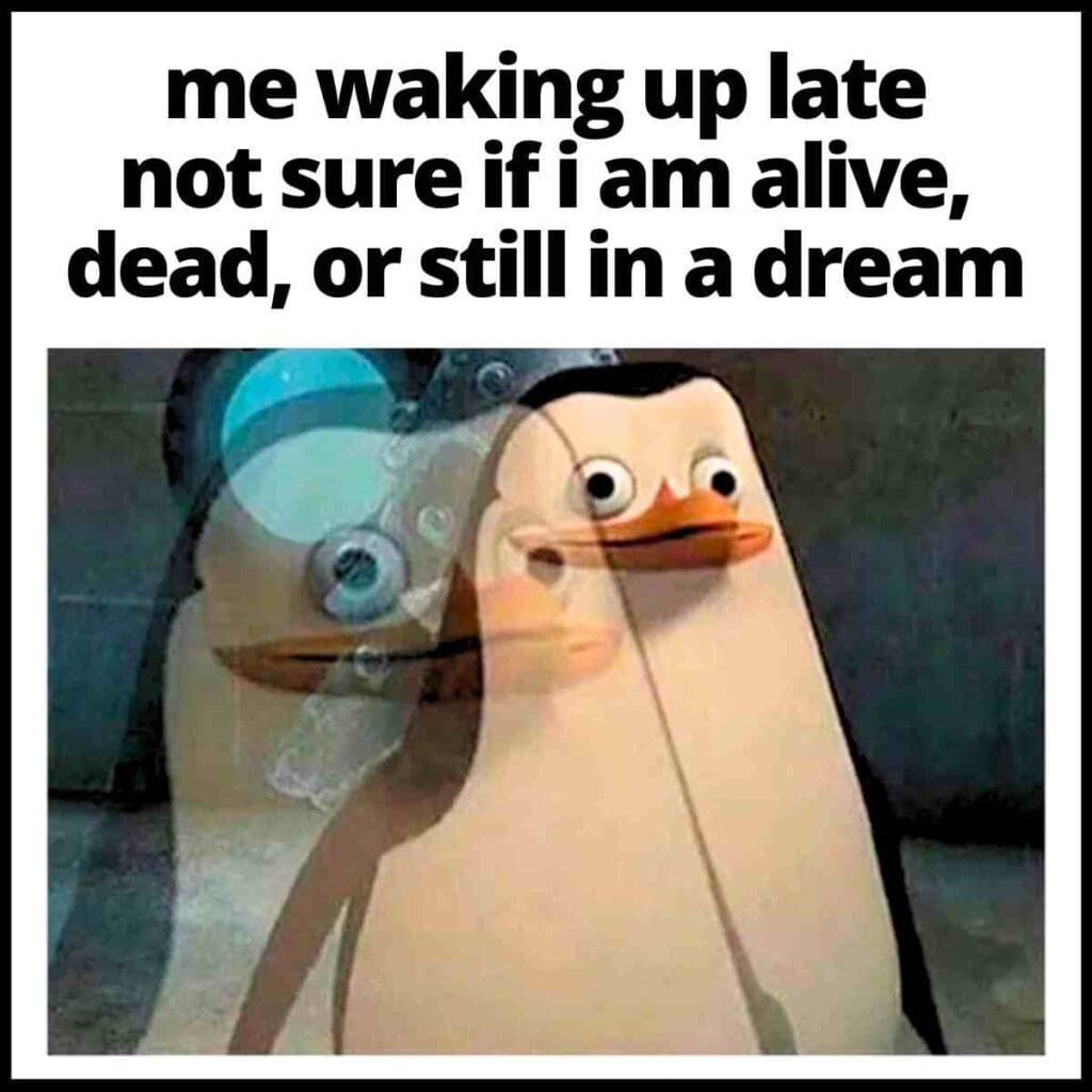 75 Funny Sleep Memes So Great You Will Forget You Are Tired
