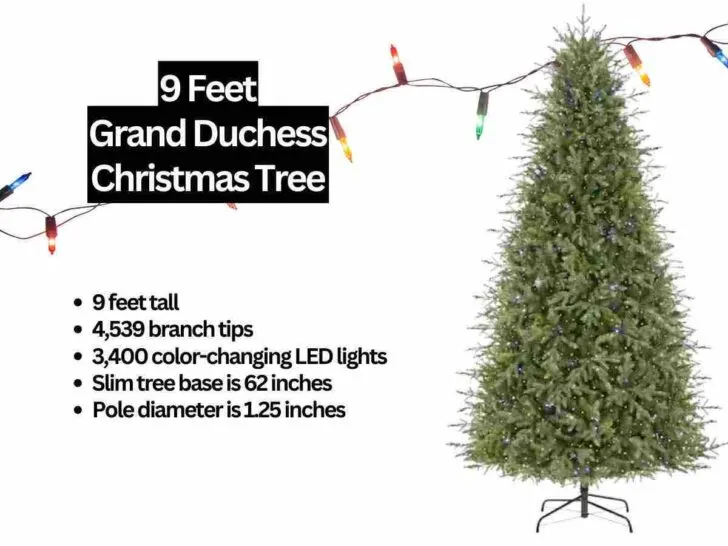 Grand Duchess Christmas Tree: Why All The Hype?