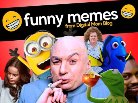 Best Funny Memes 2024: Hilarious Images You Must Share