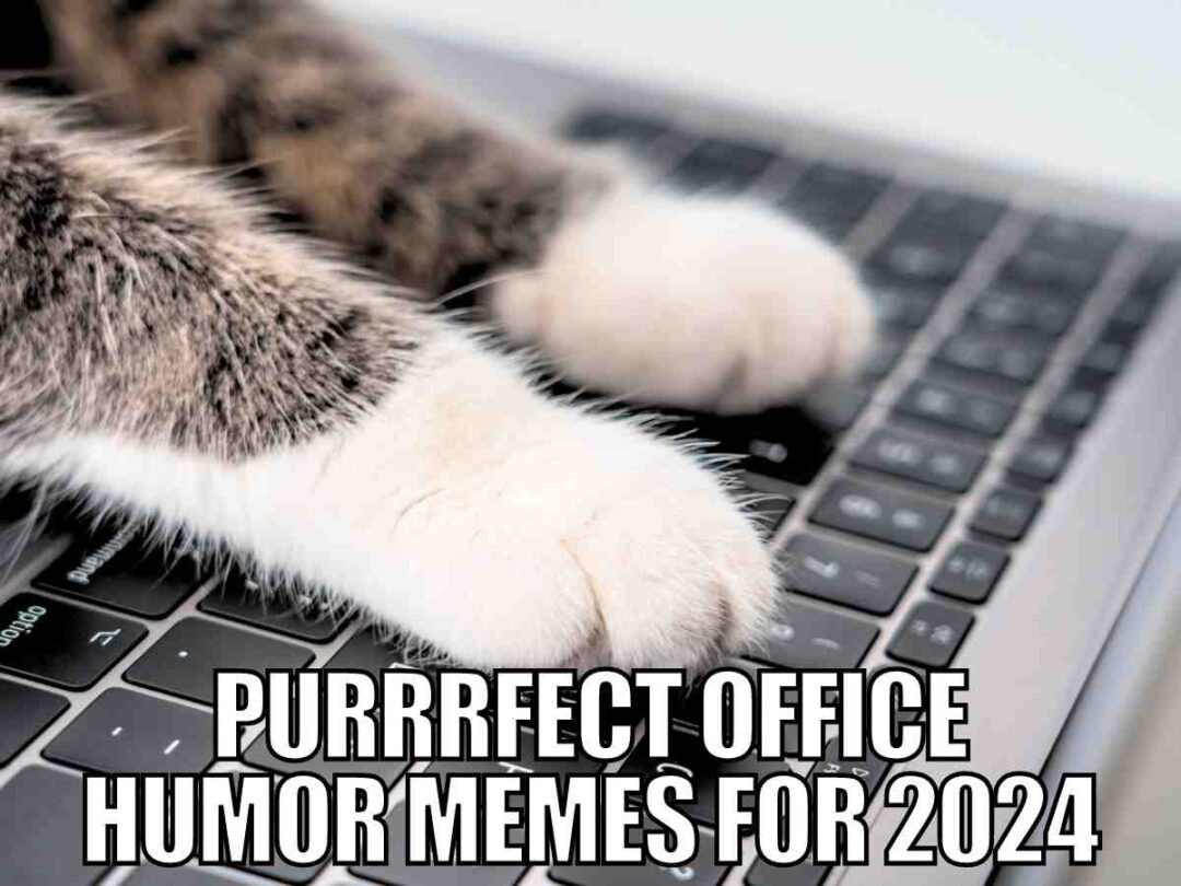 Latest Office Humor Memes: Top Picks To Make Your Workday Hilarious!
