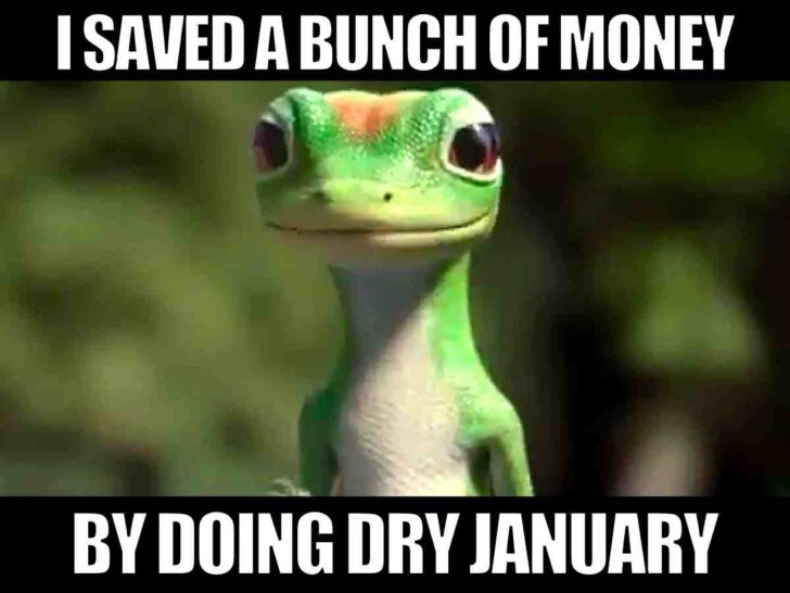 12 Best Dry January Memes To Keep You Smiling And Sober