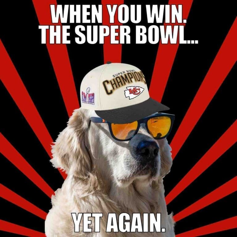 The Funniest Monday After Super Bowl Memes: 2024 Edition