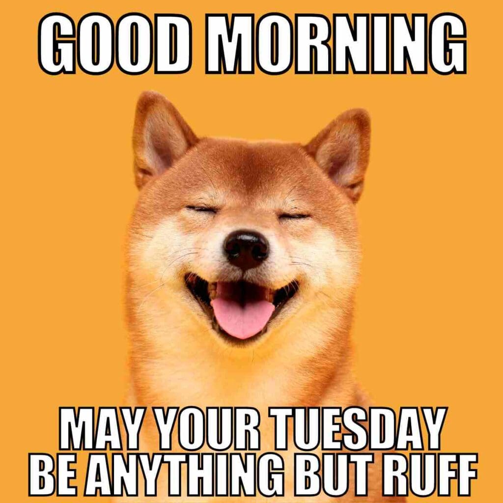 20 Tuesday Work Memes To Get You Through The Grind 20 Tuesday Work Memes To Get You Through The Grind