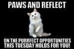 20+ Tuesday Work Memes To Get You Through The Grind