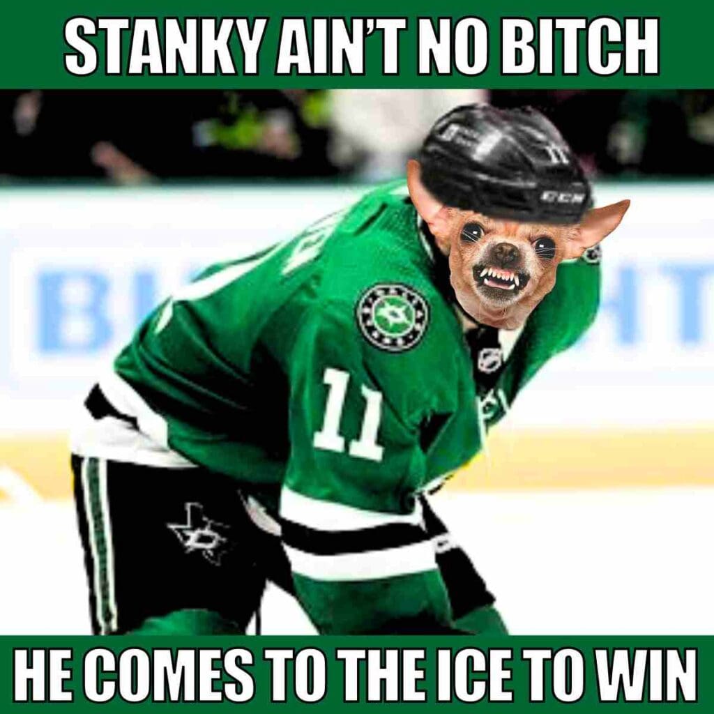Best Dallas Stars Memes: From Playoff Hype To Victory Cheers