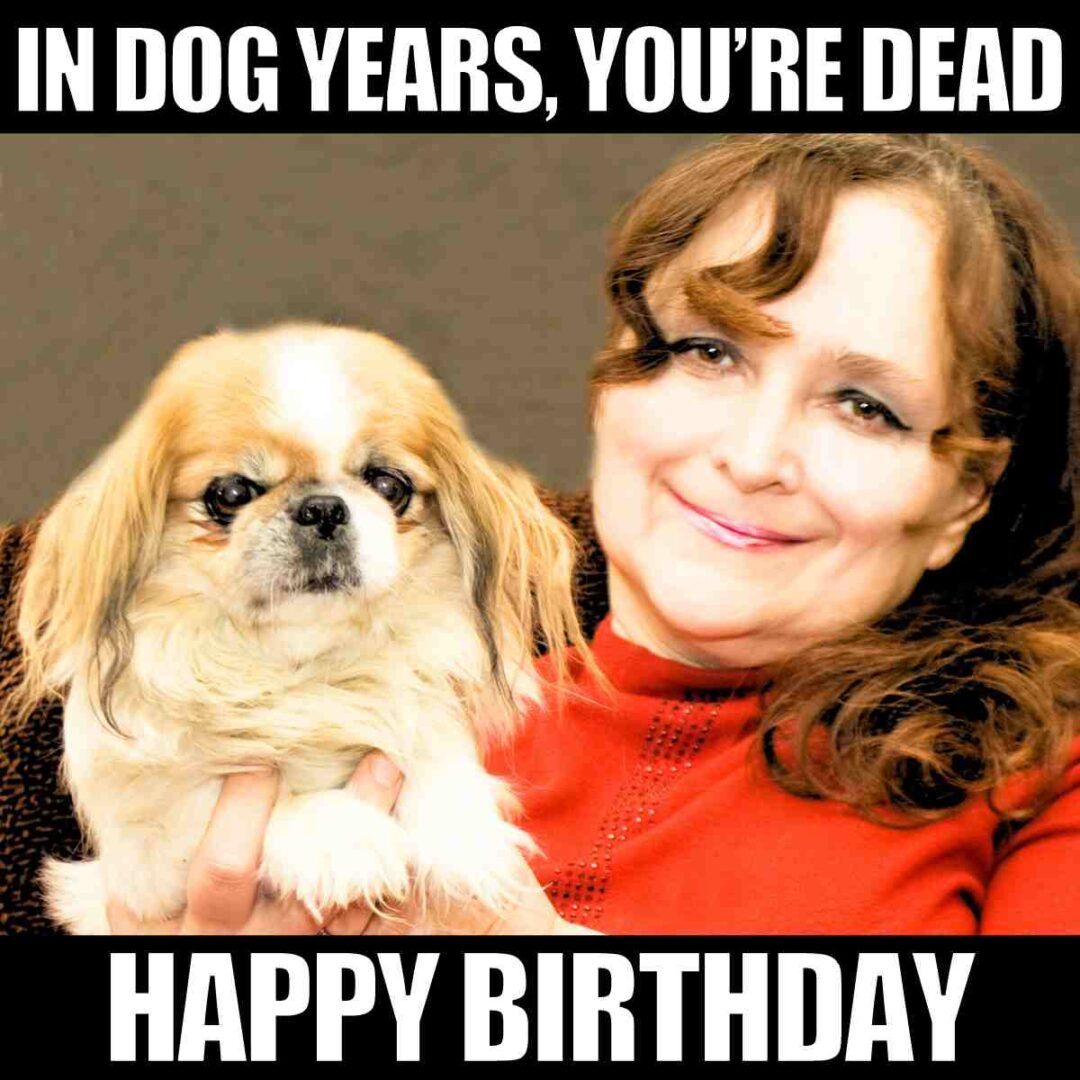 15 Best Sarcastic Birthday Memes To Celebrate With Snark