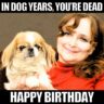15 Best Sarcastic Birthday Memes To Celebrate With Snark
