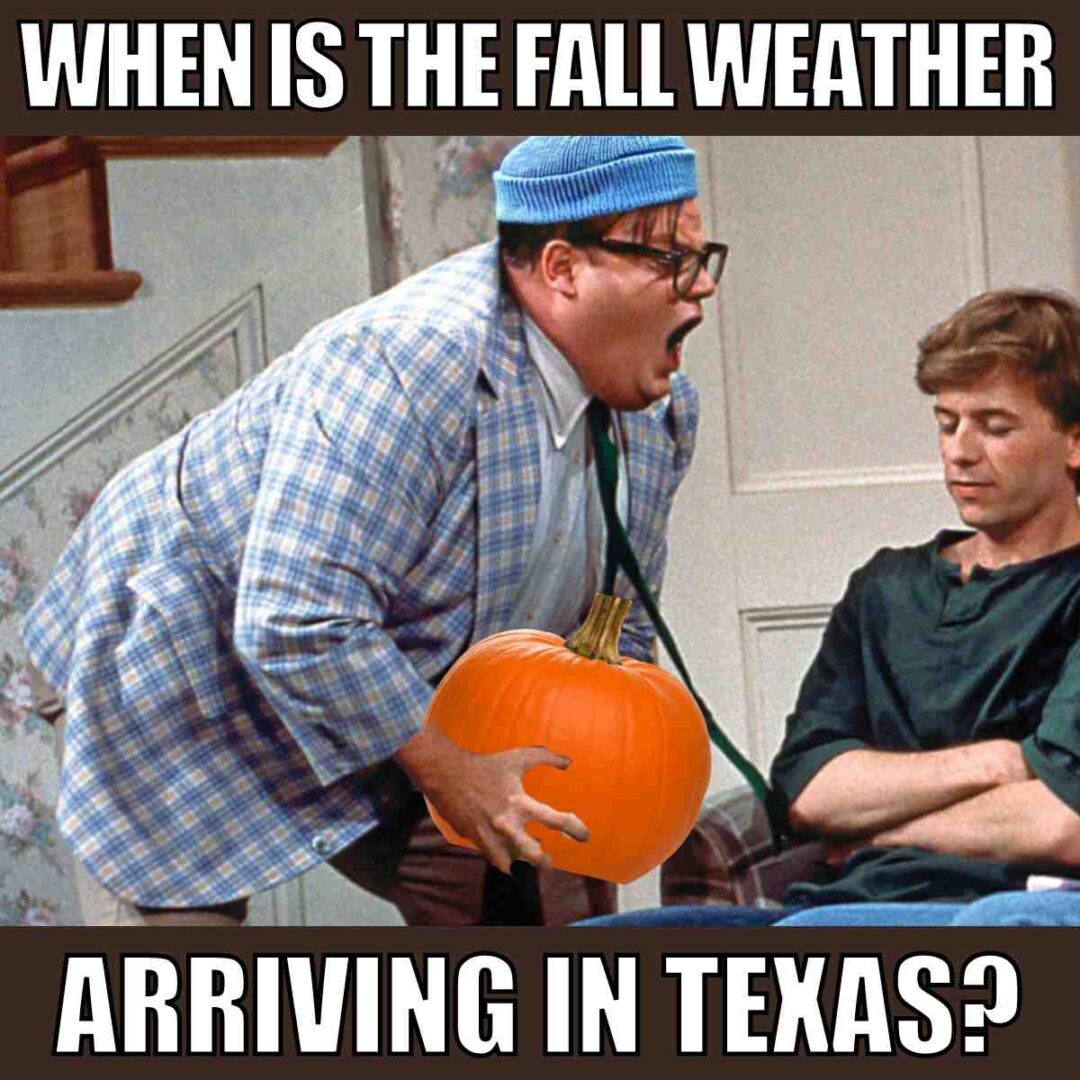 15 Hilarious Texas Fall Memes That Perfectly Capture Autumn
