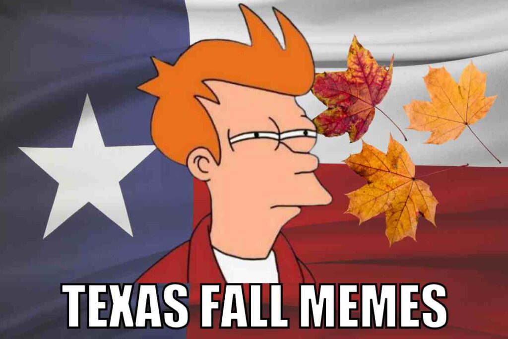15 Hilarious Texas Fall Memes That Perfectly Capture Autumn