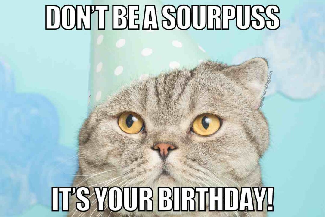 10 Cat Birthday Memes That Are Purrfectly Hilarious